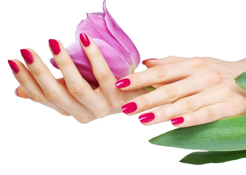 All Day Nails & Spa in Summerville, SC 29483 | Brighton Park Blvd